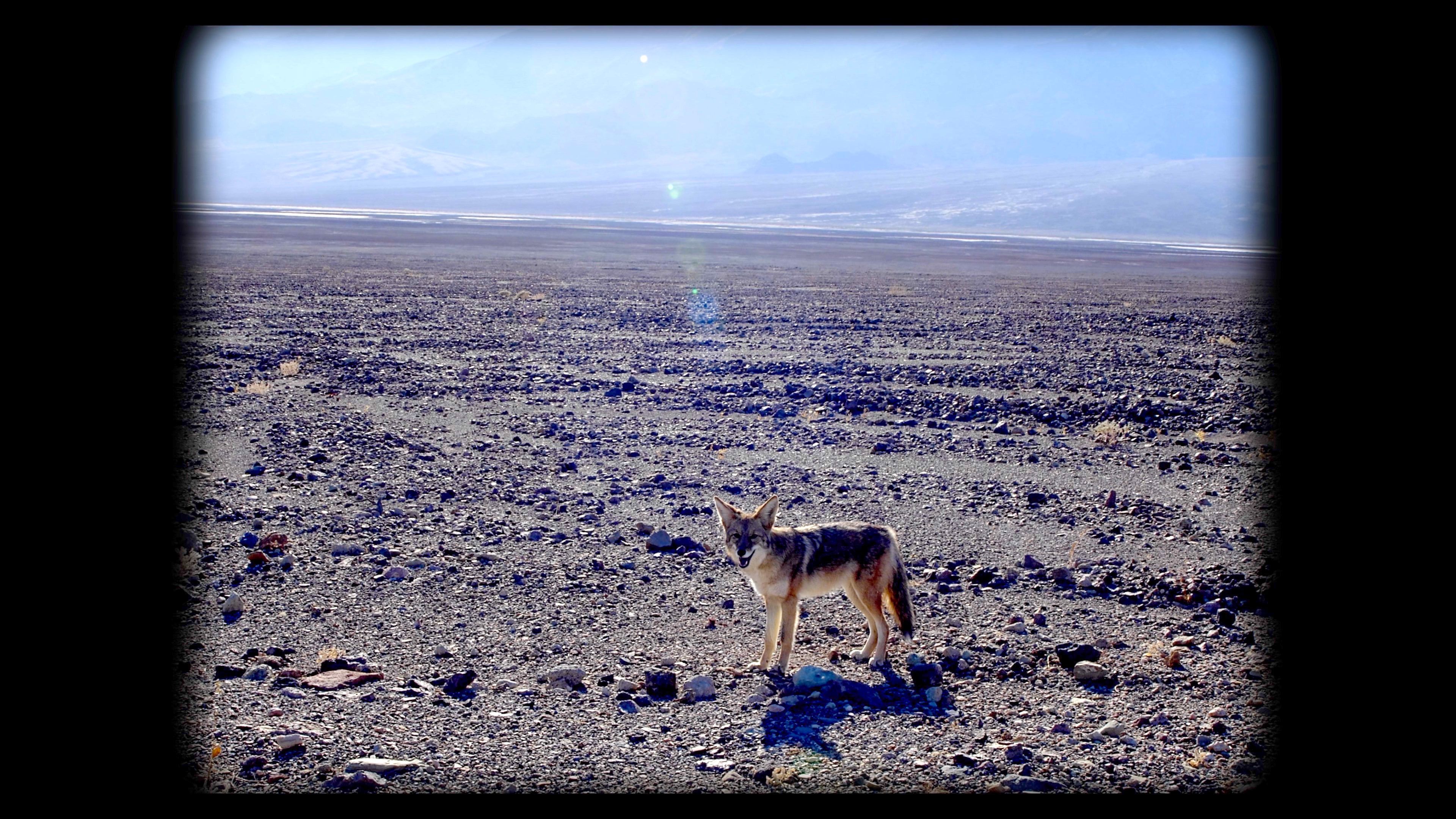 Katherine Waugh & Fergus Daly: I See a Darkness - Announcements - e-flux