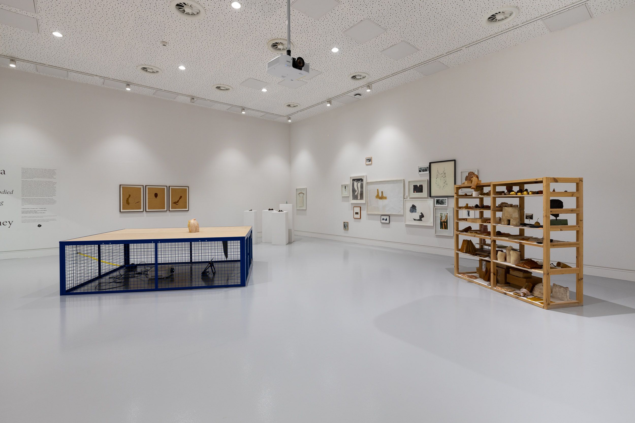 Sheila Gaffney: Embodied Dreaming - Announcements - e-flux