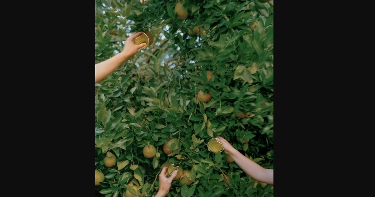 SCAD alumni artists at Photo London - Announcements - e-flux