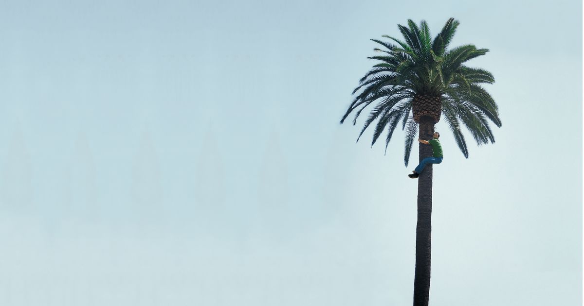 Easy Irony: Irony in Italian art between the 20th and 21st century ...