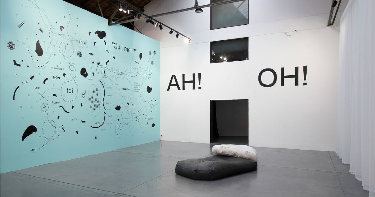 Ricardo Basbaum: AH! OH! / Kelly Weiss: À votre contact, se confondre ...