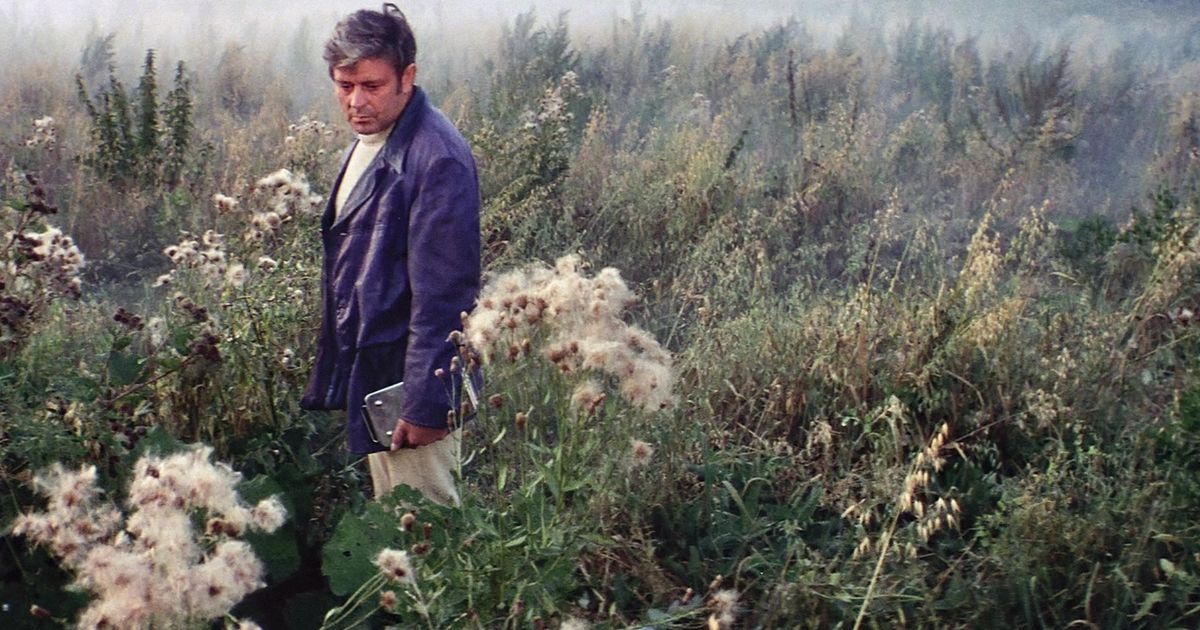 M+ Cinema winter edition - Announcements - e-flux