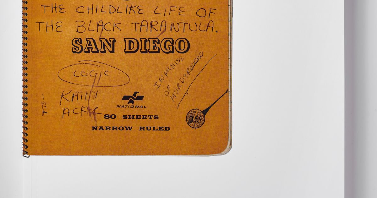 Kathy Acker: Get Rid of Meaning - Announcements - e-flux