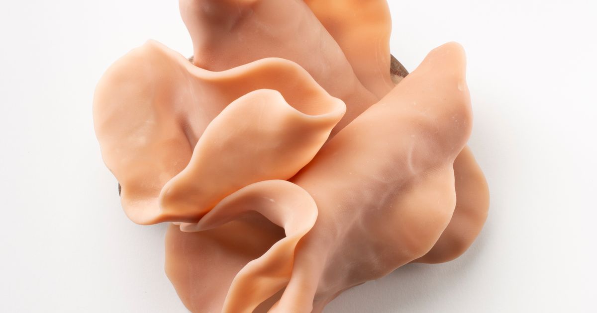 Iris Eichenberg: Where Words Fail - Announcements - e-flux