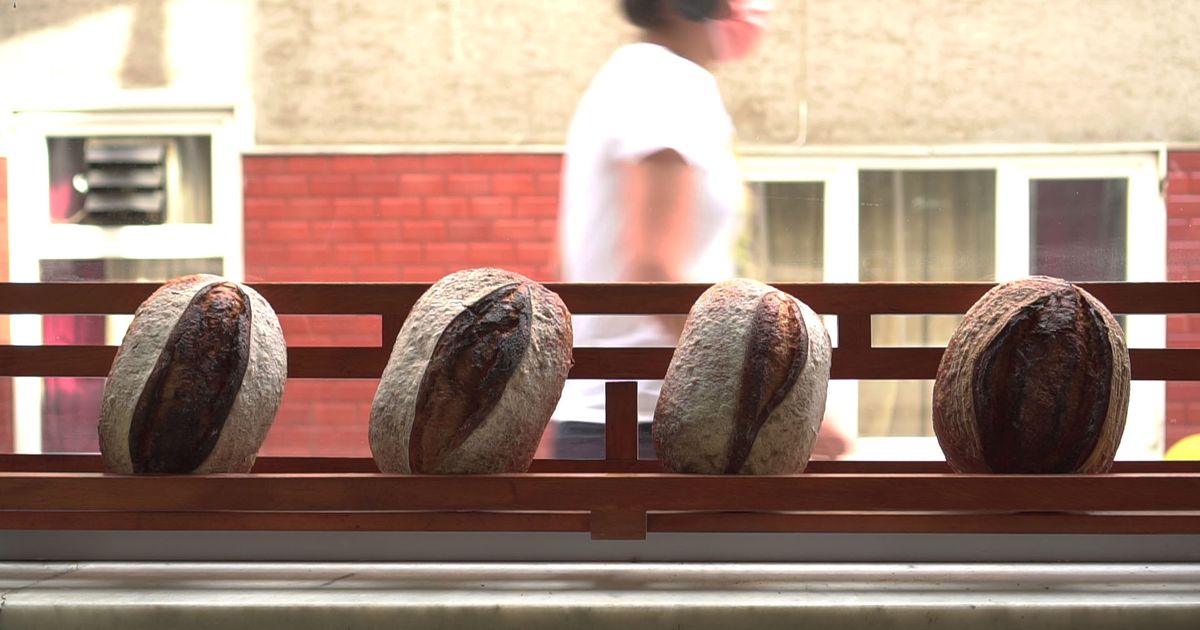 Abbas Akhavan, Burak Delier, Michelle Lopez, Stéphanie Saadé, Hasan ...