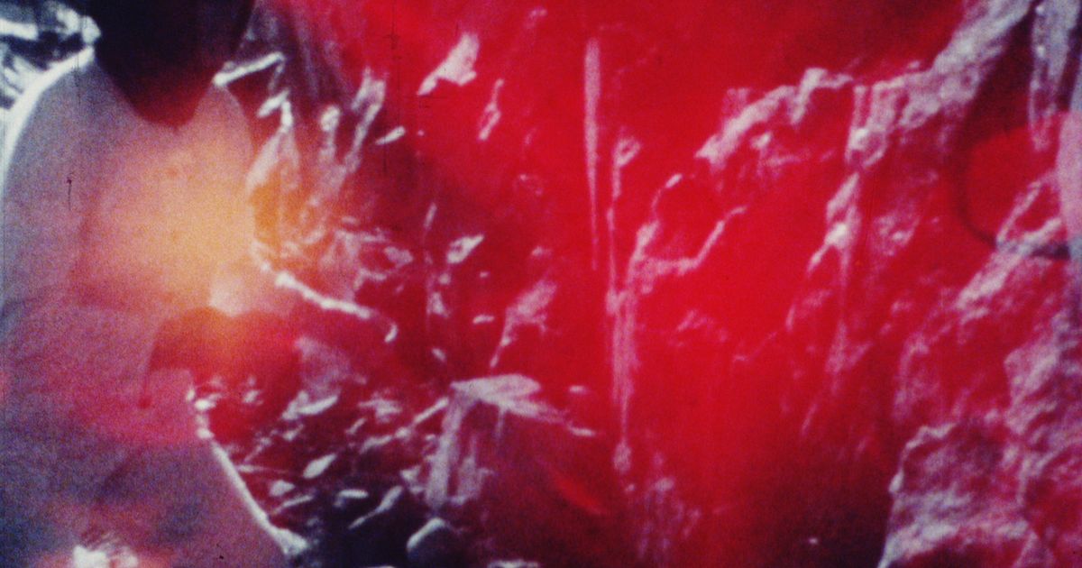 Sandra Lahire and Celeste Burlina: we sat rigid except for the parts of ...