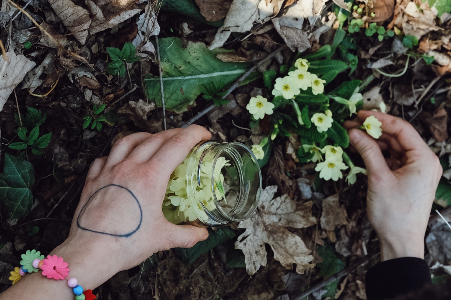 Exhibitors: Anselma, From Gaja, Toasted Furniture, Gin Brin, Gobnjak ...