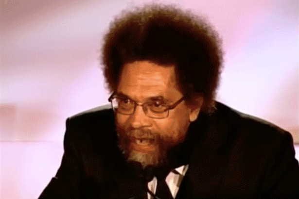 Deep Education: Video program by Litia Perta - Announcements - e-flux