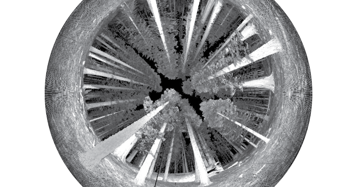 Accumulation - Jennifer Gabrys - Becoming Planetary