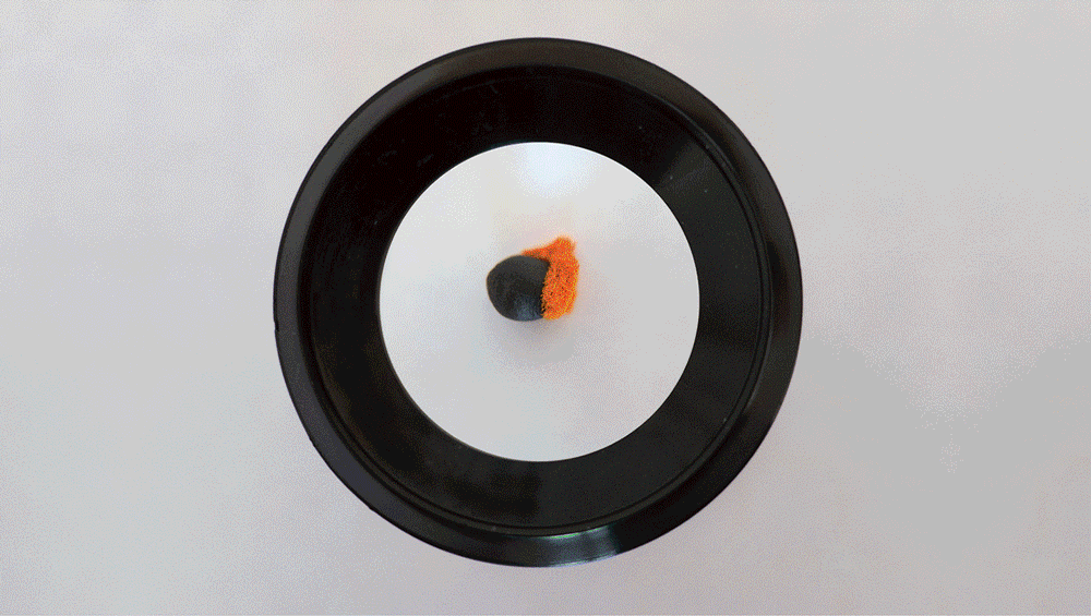 Uriel Orlow: Theatrum Botanicum / Uriel Orlow: Grey, Green, Gold ...