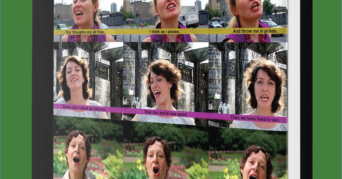 Turks, Jews, and Other Germans in Contemporary Art by Peter Chametzky ...