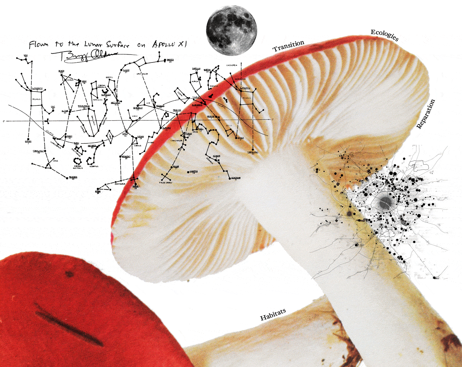 Master of Advanced Studies in Urban and Territorial Design ...