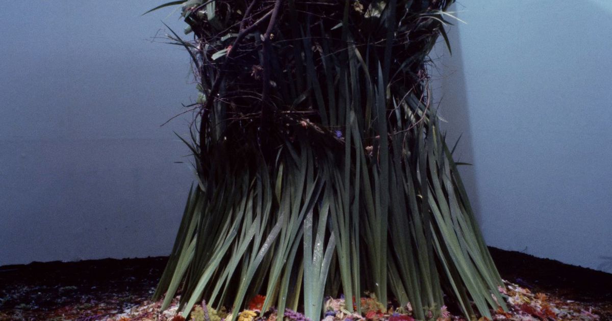 Winter/spring program 2025 - Announcements - e-flux