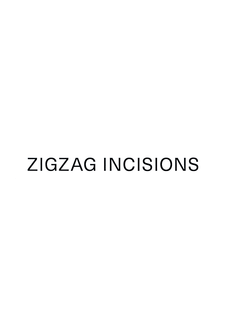 Zigzag Incisions - Announcements - e-flux