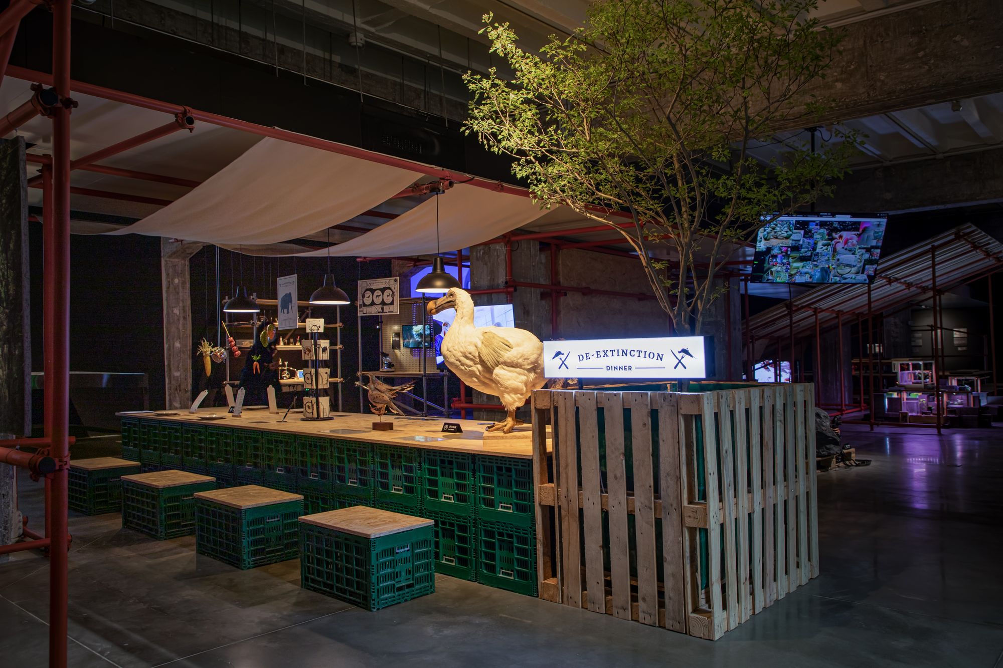 Diane Xing: Balcony of the Brave: Nutrition, Materials, and Future ...