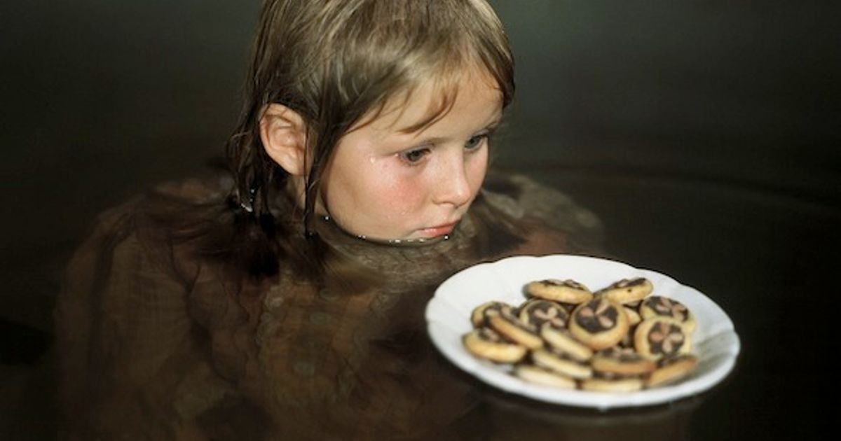 Metamorphosis. Fantasy Visions in Starewitch, Švankmajer and the Quay ...