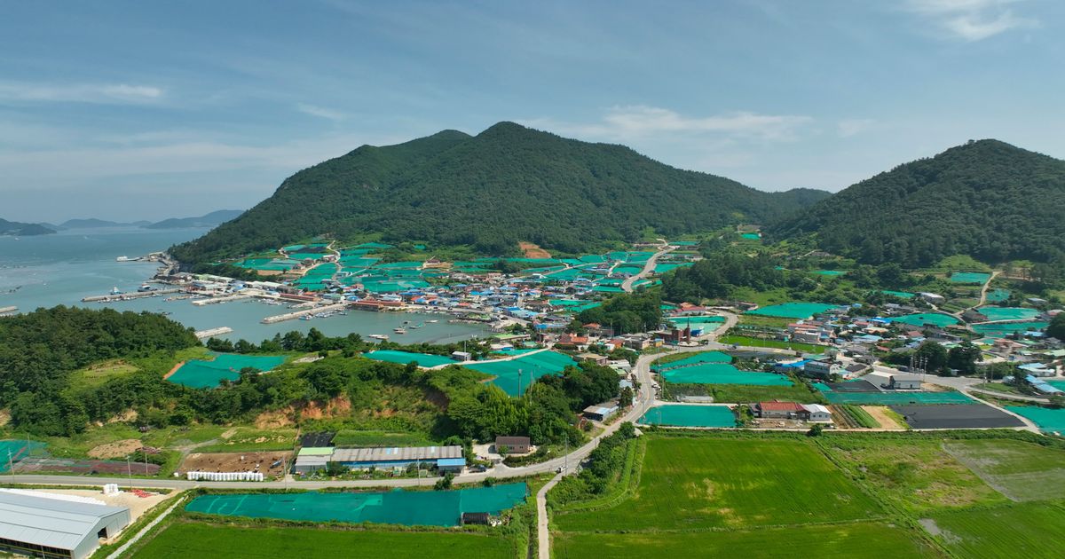 Open call for "Song of the Wind" in Wando - Announcements - e-flux