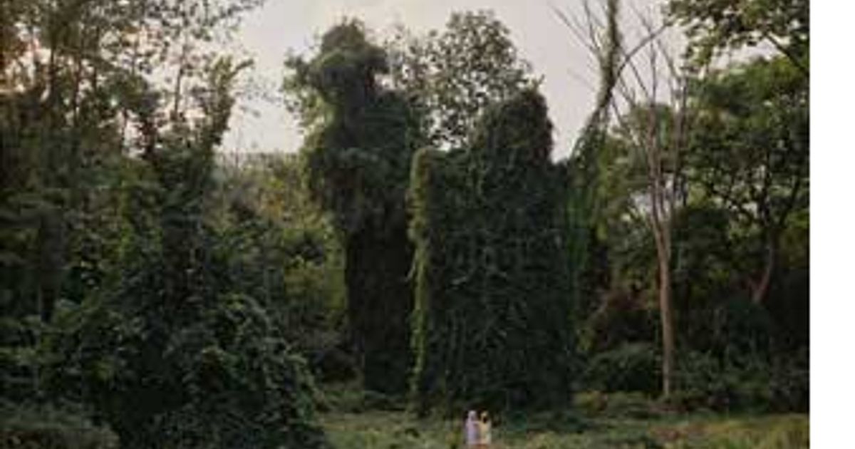 Molly Nesbit - Announcements - e-flux