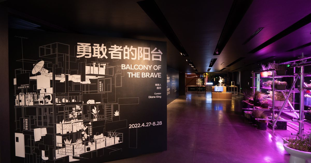Diane Xing: Balcony of the Brave: Nutrition, Materials, and Future ...