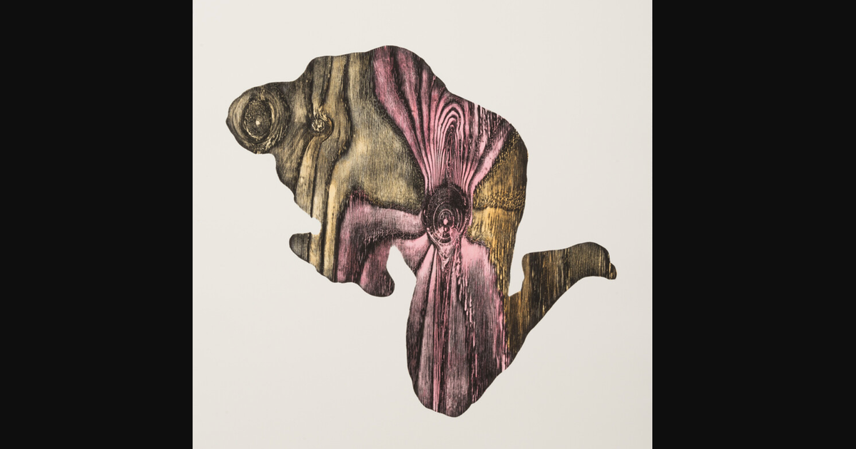 Drawing Prize 2025 nominations: Alice Maher, Gideon Kiefer, Ettore ...