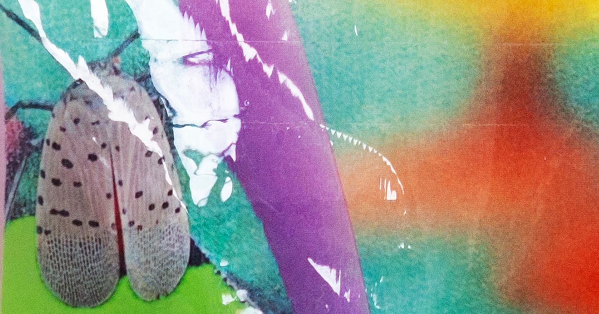 Photography MFA thesis exhibitions - Announcements - e-flux