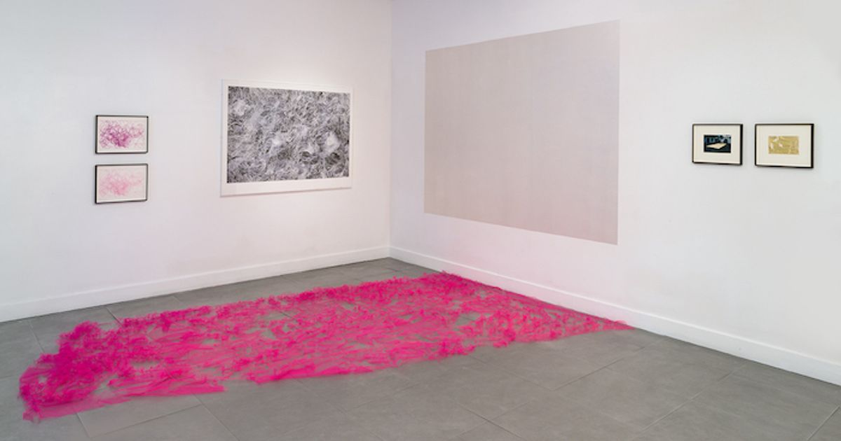 Shelagh Wakely’s “Spaces Between Things” - Criticism - e-flux