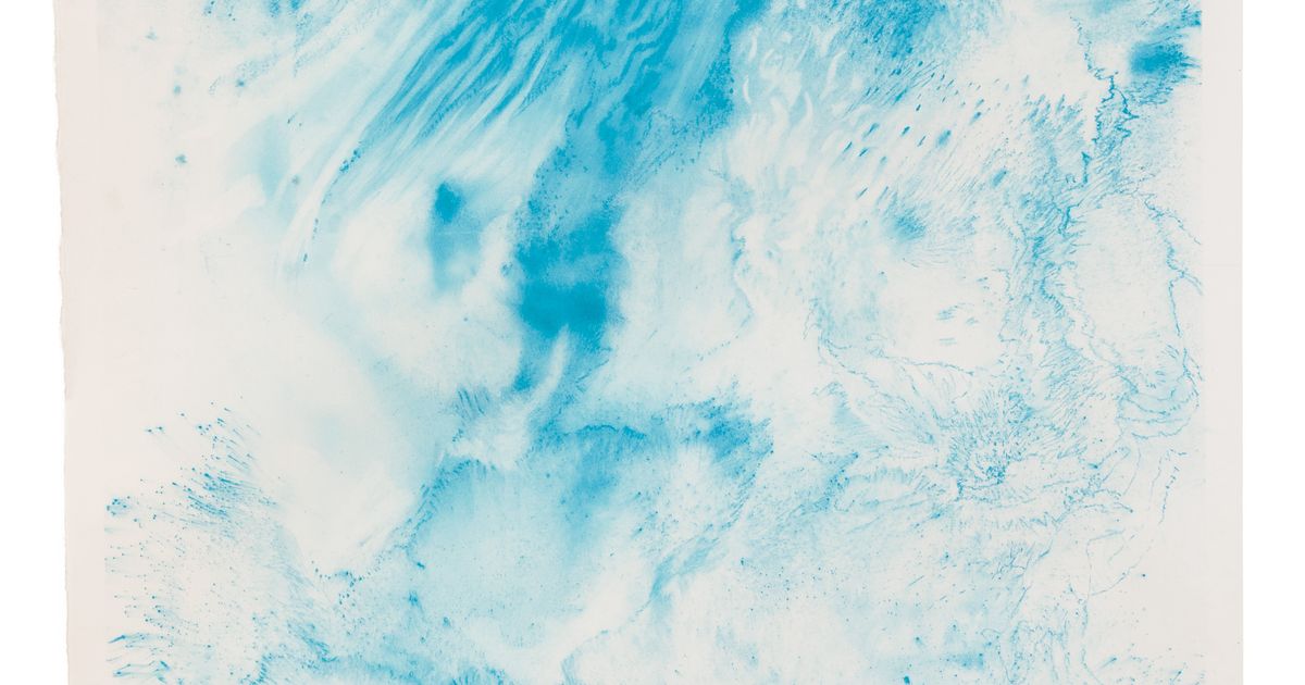 Diane Victor: The Ground Beneath Our Feet - Announcements - e-flux
