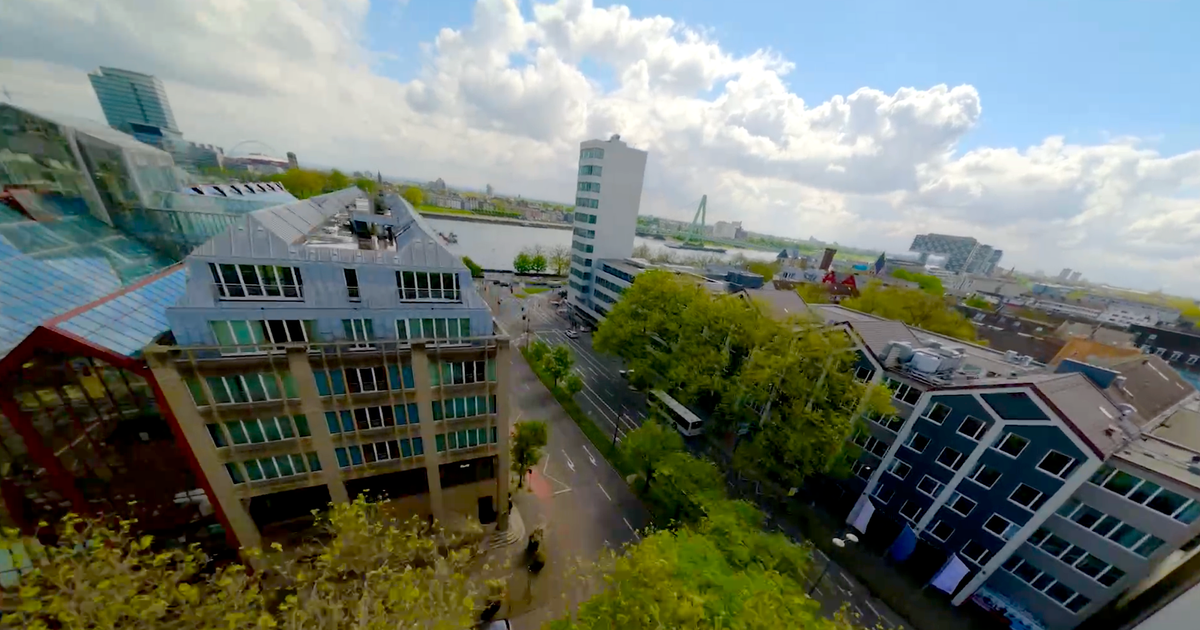 Professor in Networks (m/f/d) - Announcements - e-flux