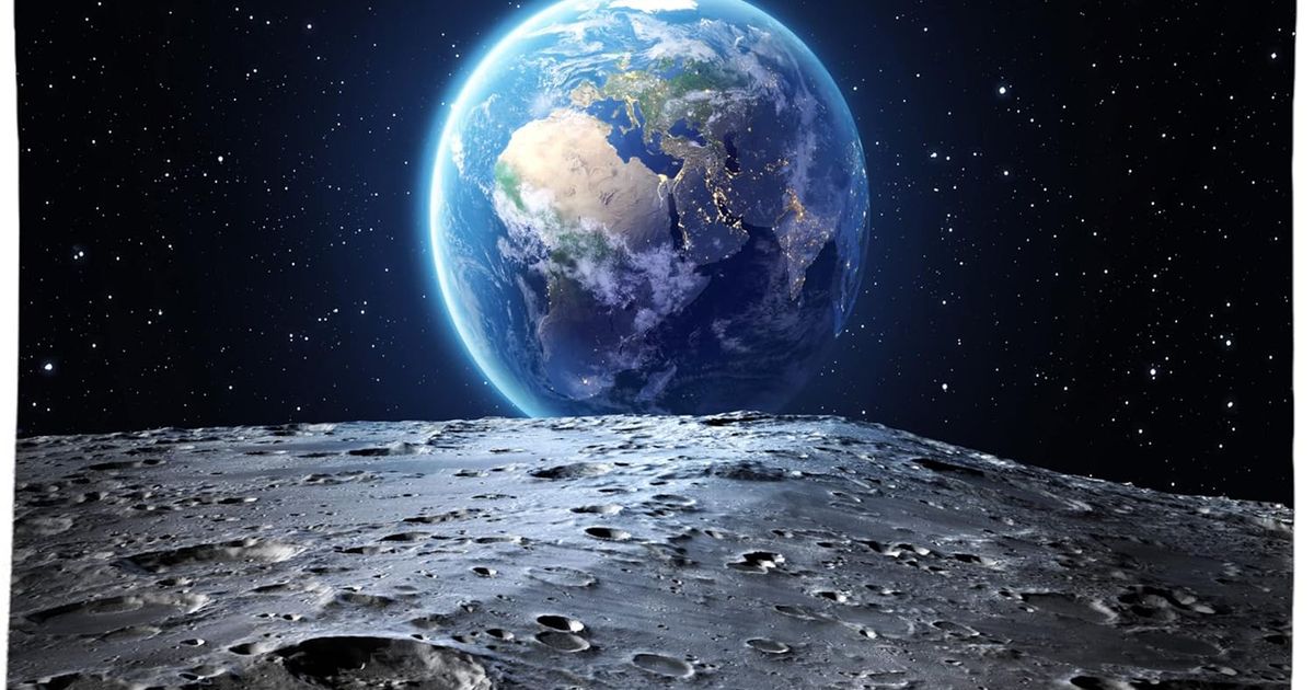 The Brain Without Organs: Planetarity, Plasticity, and Eco ...