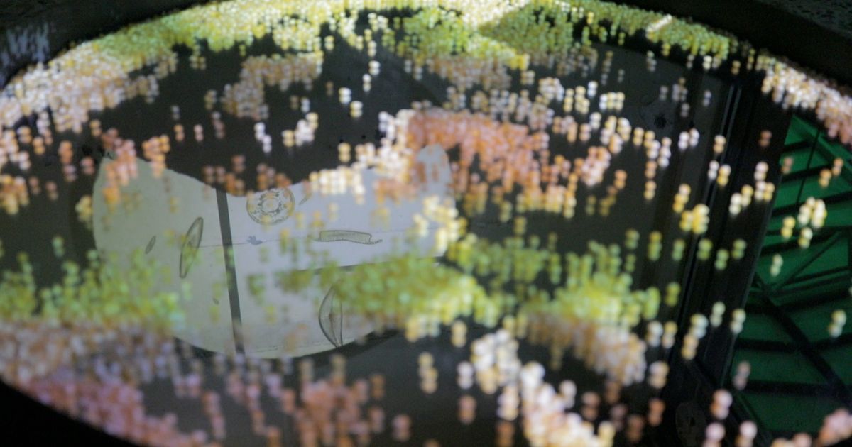 Austerity and Utopia - Announcements - e-flux