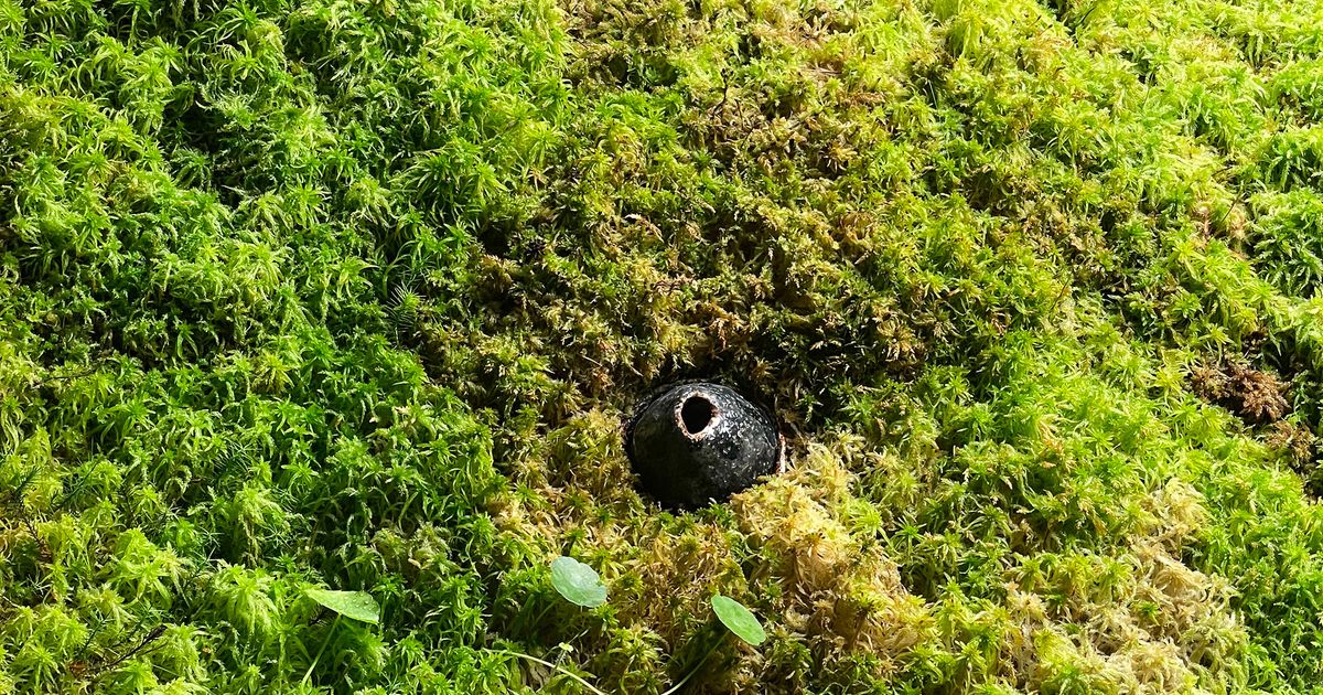 Field Notes: Helene Romakin on “Turba Tol Hol-Hol Tol,” Chilean ...