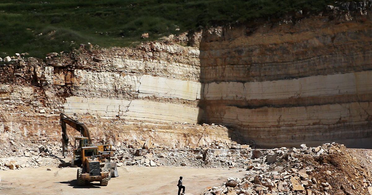 Judy Price: Still - Announcements - e-flux