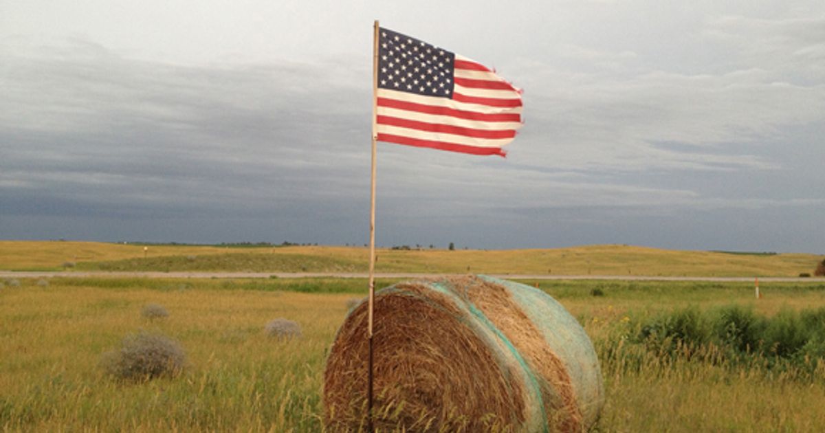 Mel Ziegler - Announcements - e-flux