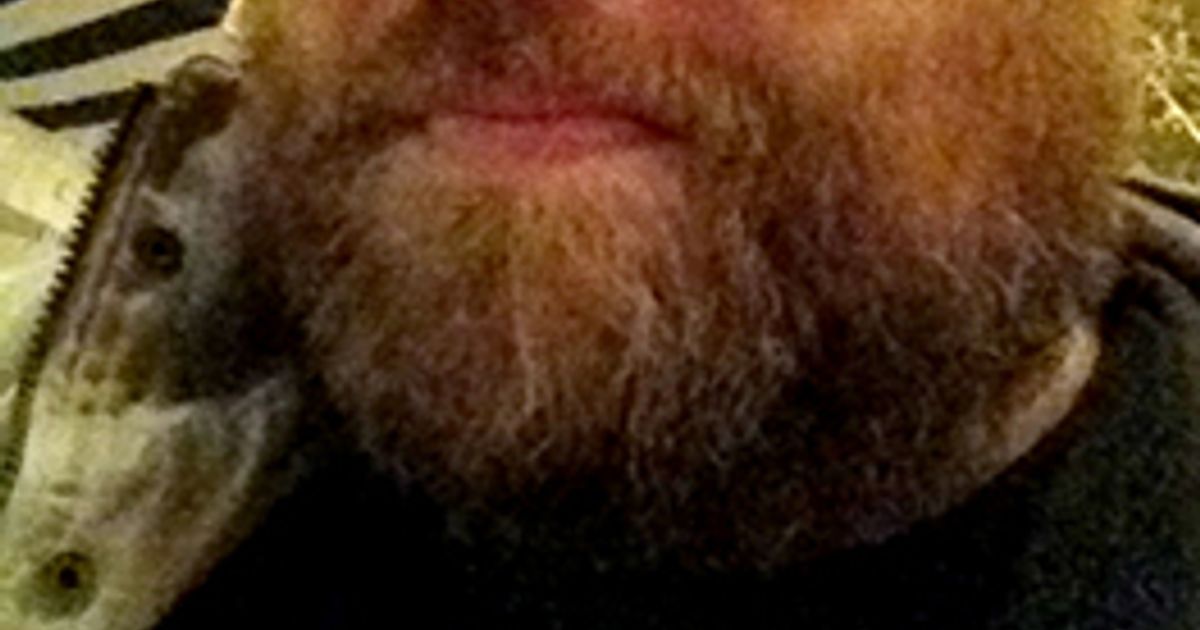 Foundation To-Life Arthur and Carol Kaufman Goldberg Visiting Curator ...