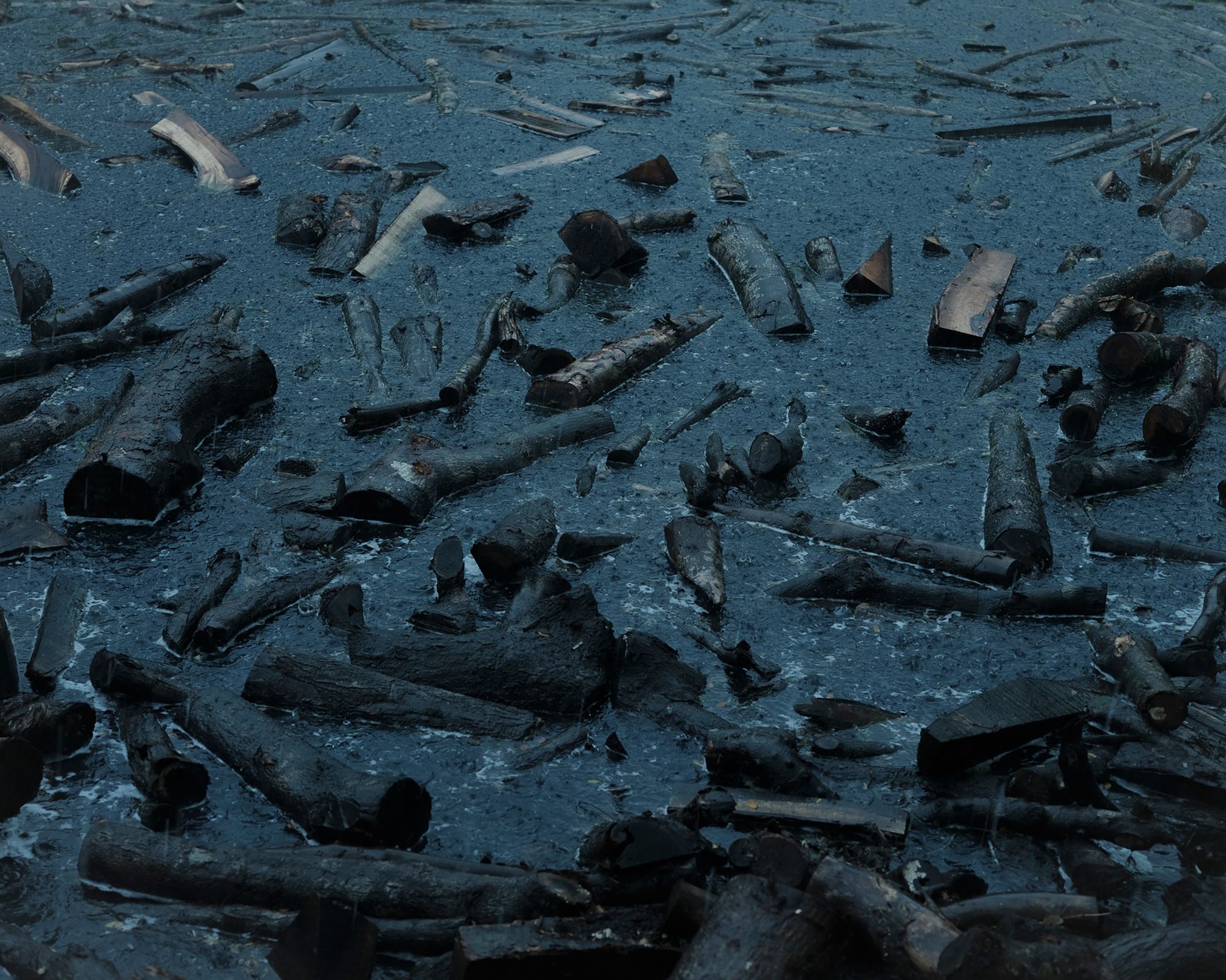 Laura Huertas Millán and Sarker Protick: After Nature - Announcements - e-flux