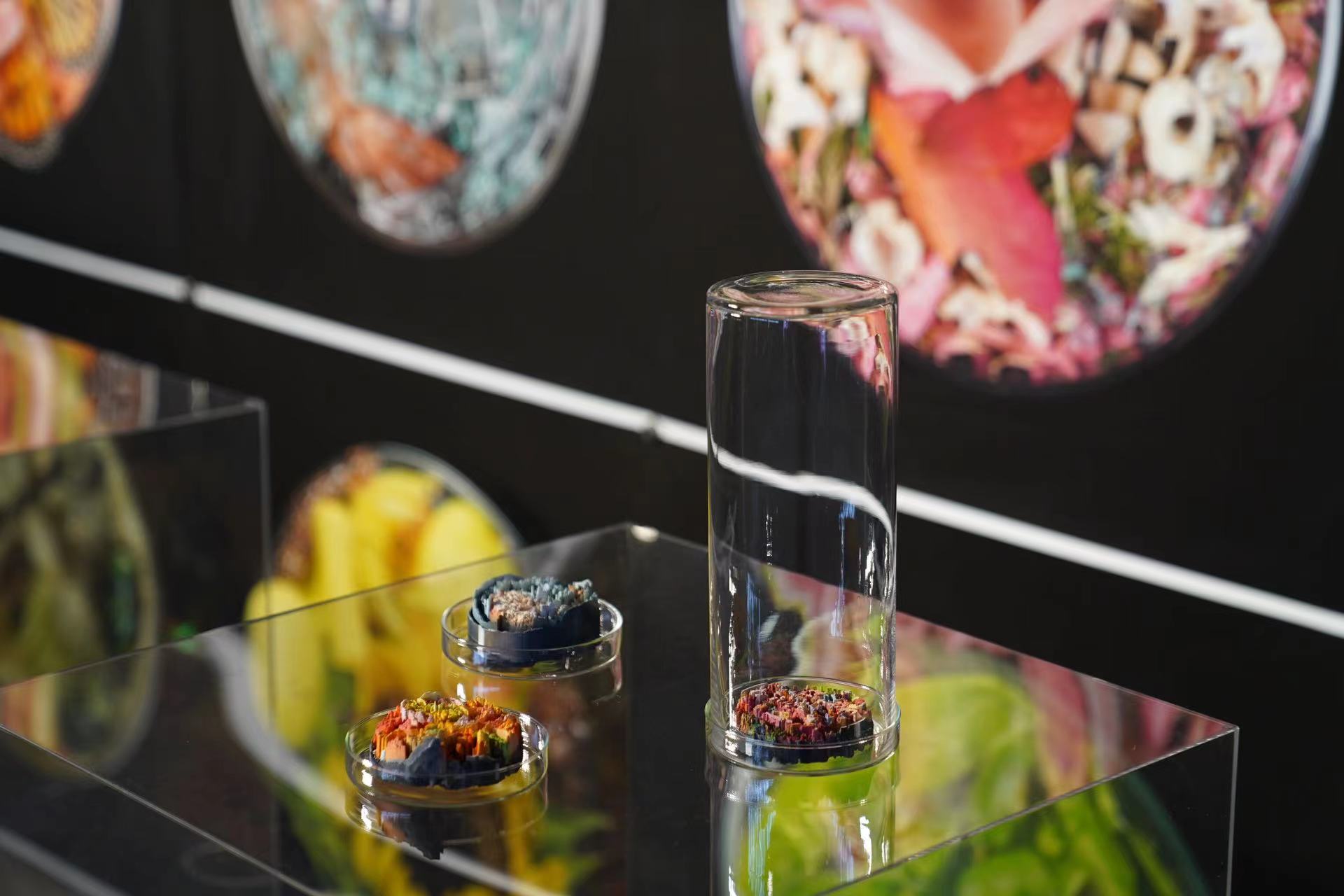 Suzanne Anker,Jeremy Bailey,Andrew Demirjian,Keiken,Kinlaw,Liu Xin,Mark ...