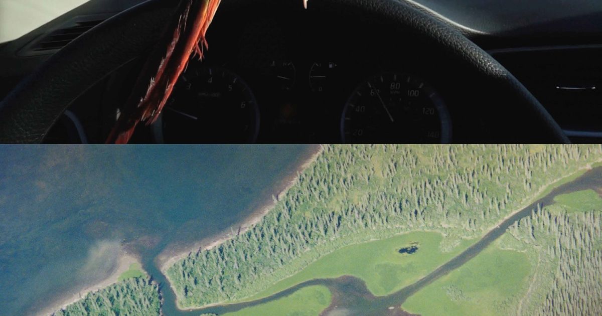 Ingrid Wiener, Martin Roth - Announcements - e-flux