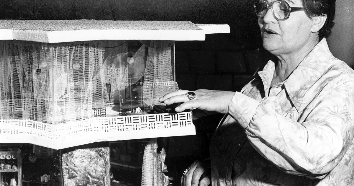 Artificial Labor - Helen Hester - Promethean Labors and Domestic Realism