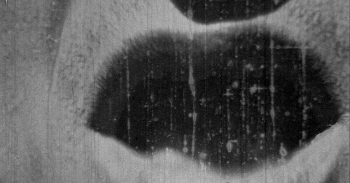 Eat the Camera, Feed the Screen - Journal #133