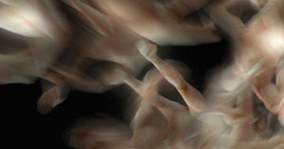 SAIC presents THE SIMULATIONISTS: Mixed Reality Performance ...