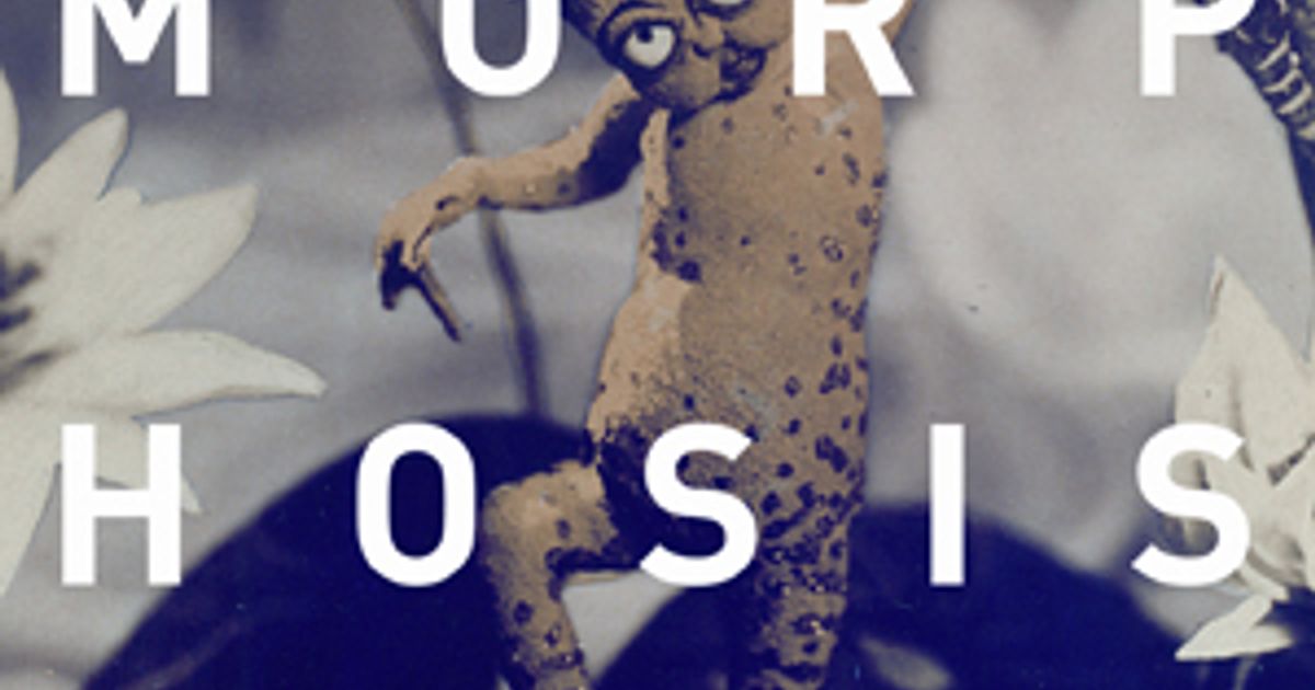 Metamorphosis. Fantasy Visionsin Starewitch, Švankmajer and the Quay ...